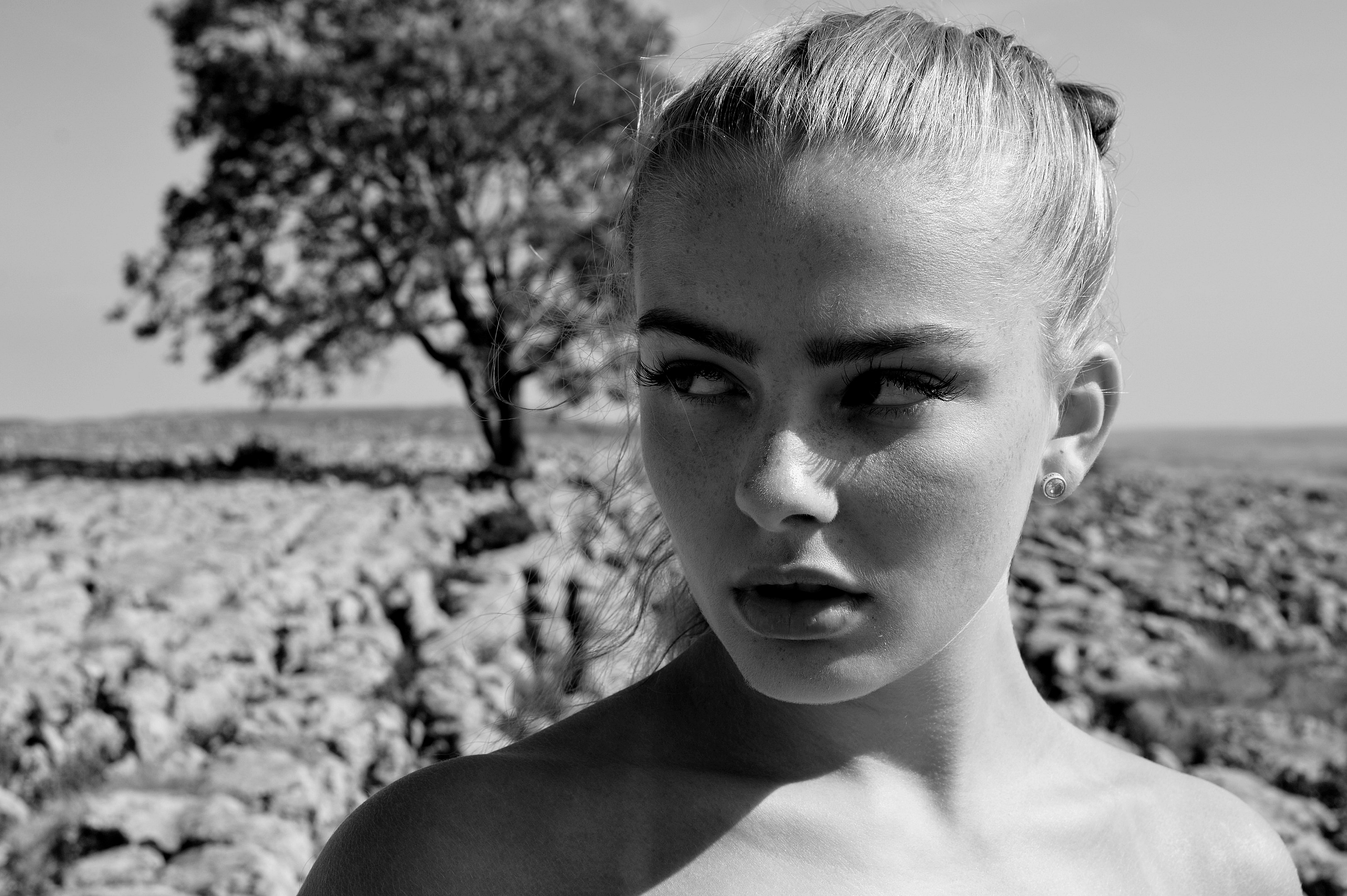 Dry Spell – plot19